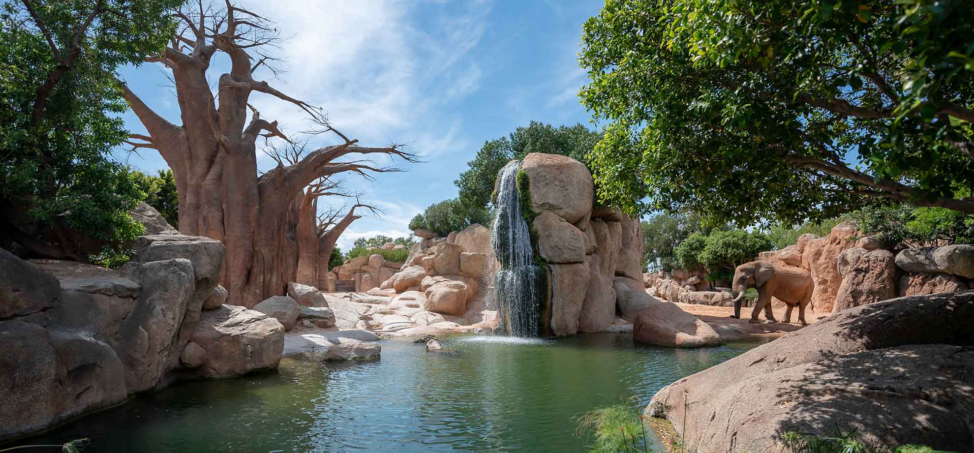 Bioparc, un viaje por la fauna africana | Visita guiada